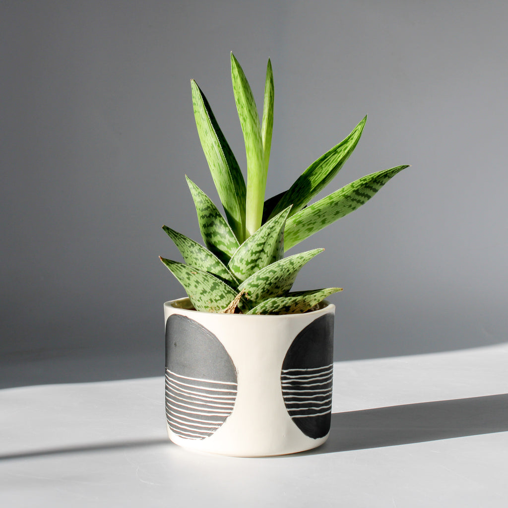 Keeeps Pottery | Handmade British ceramics & pottery classes